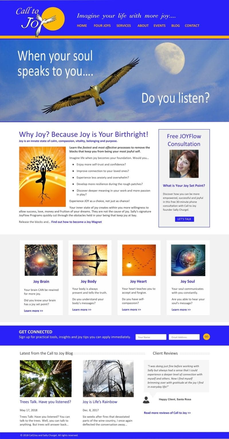 Website Portfolio for New Paradigm Marketing Group